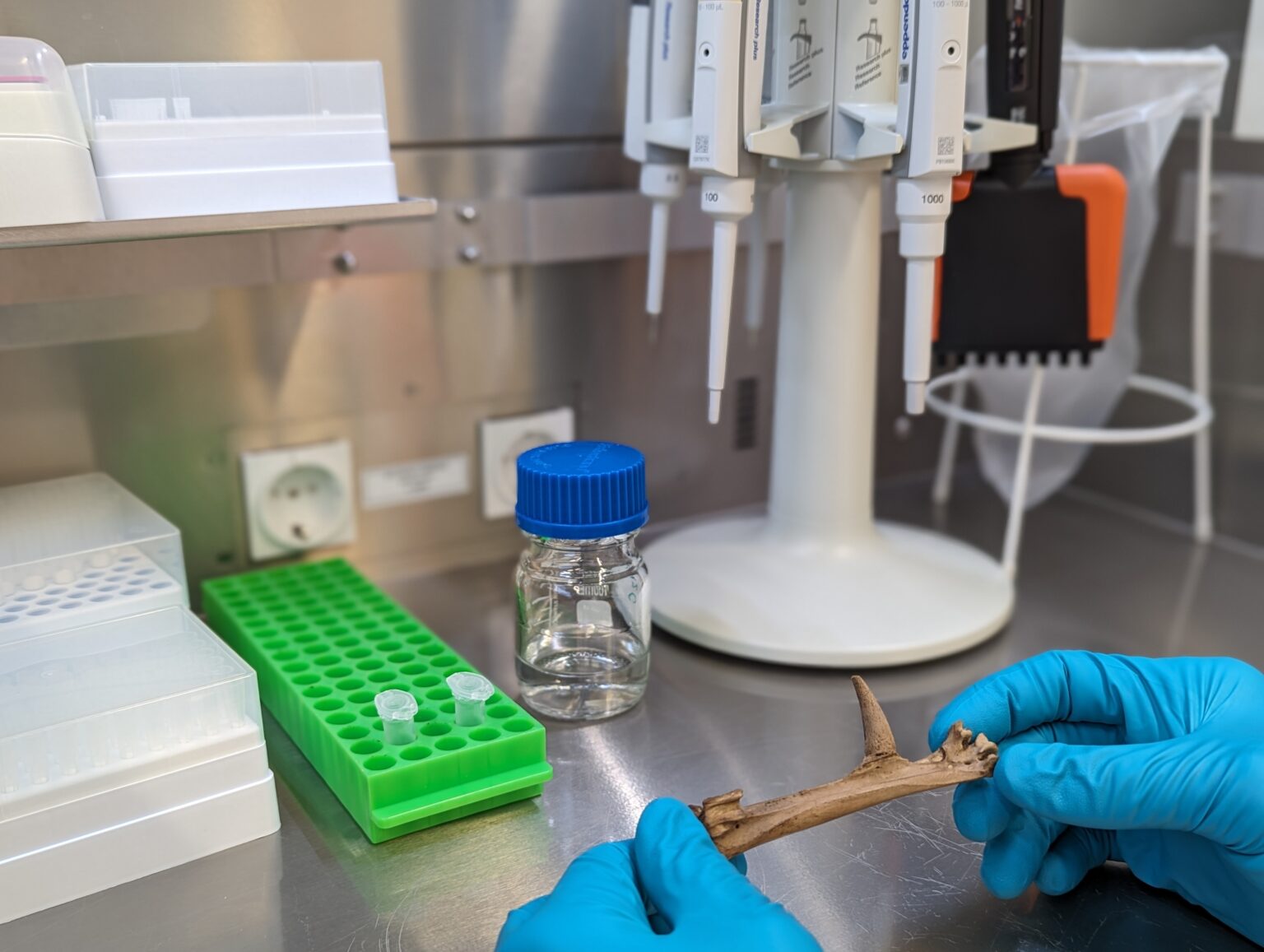 Poultry News Apr/May 2024 - Backyard Poultry